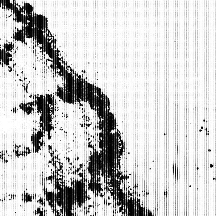 Kumo – Three Tigers | Documentary Evidence